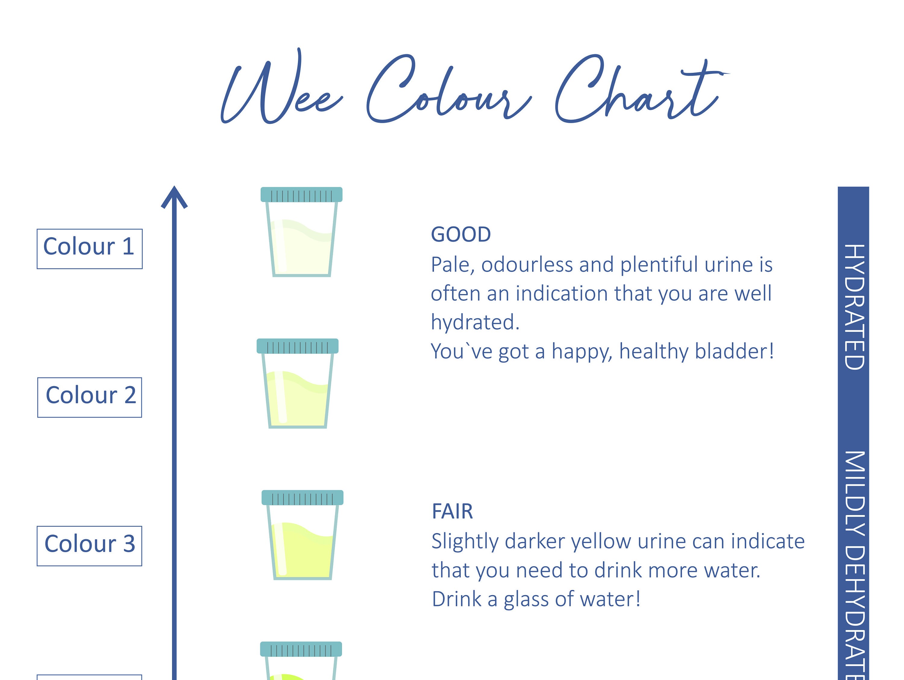Wee Colour Chart - Etsy