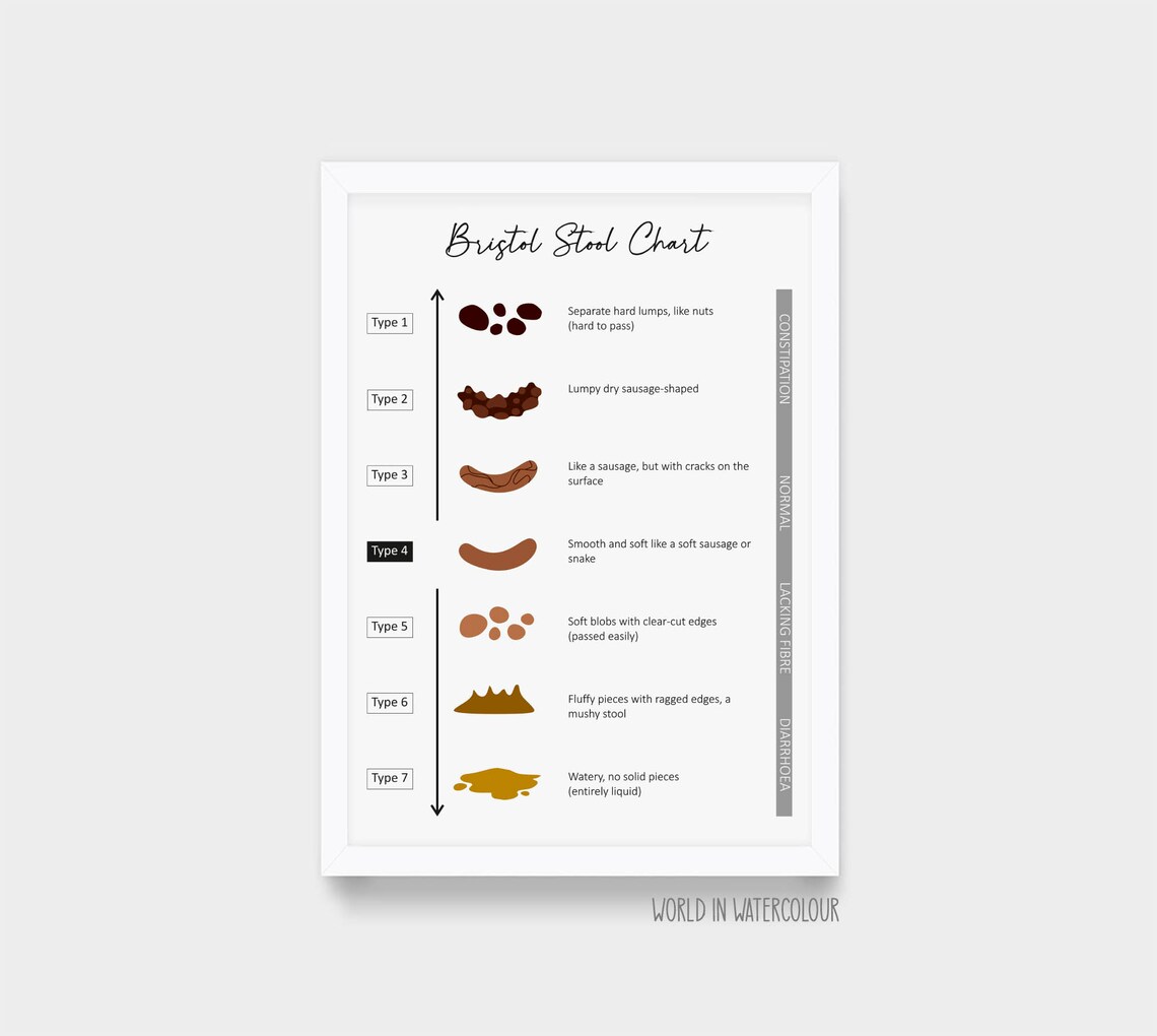 Bristol Stool Chart - Etsy