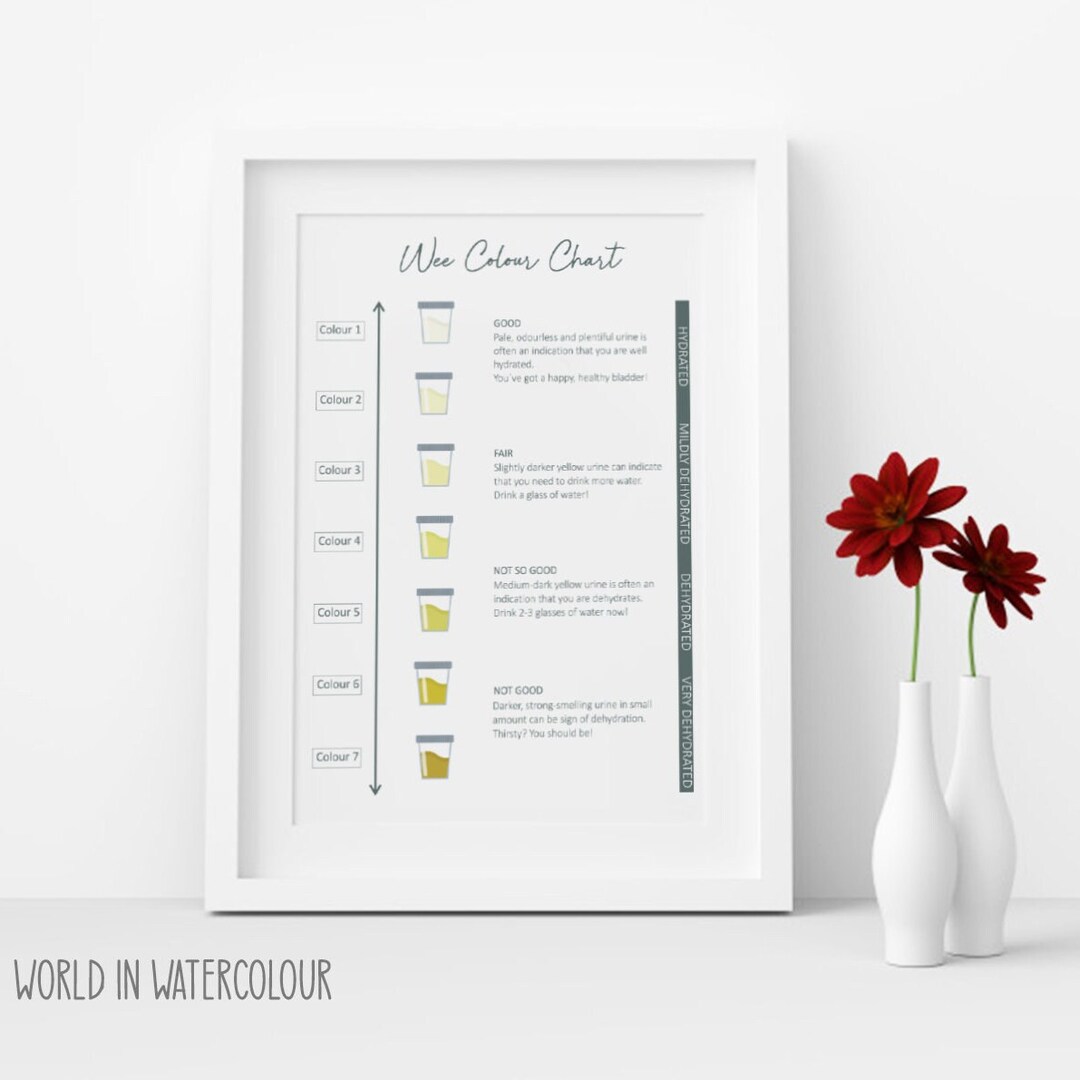 Wee Colour Chart - Etsy