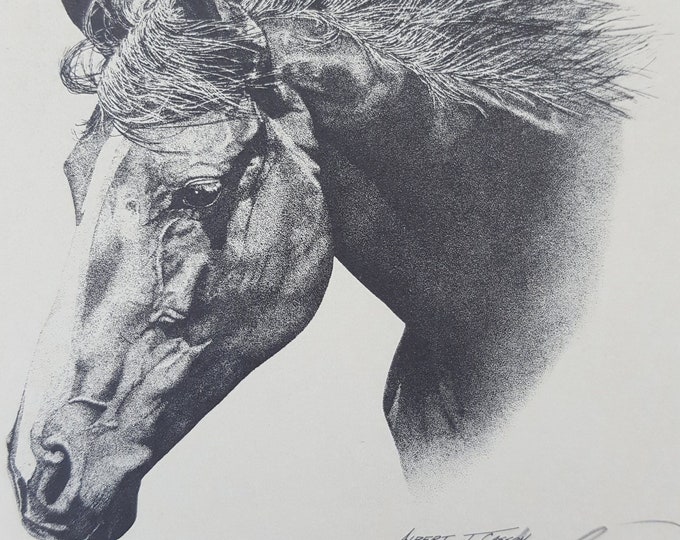 Albert J. Casson / Vintage 8" X 10" Horse Head Print / Signed ...