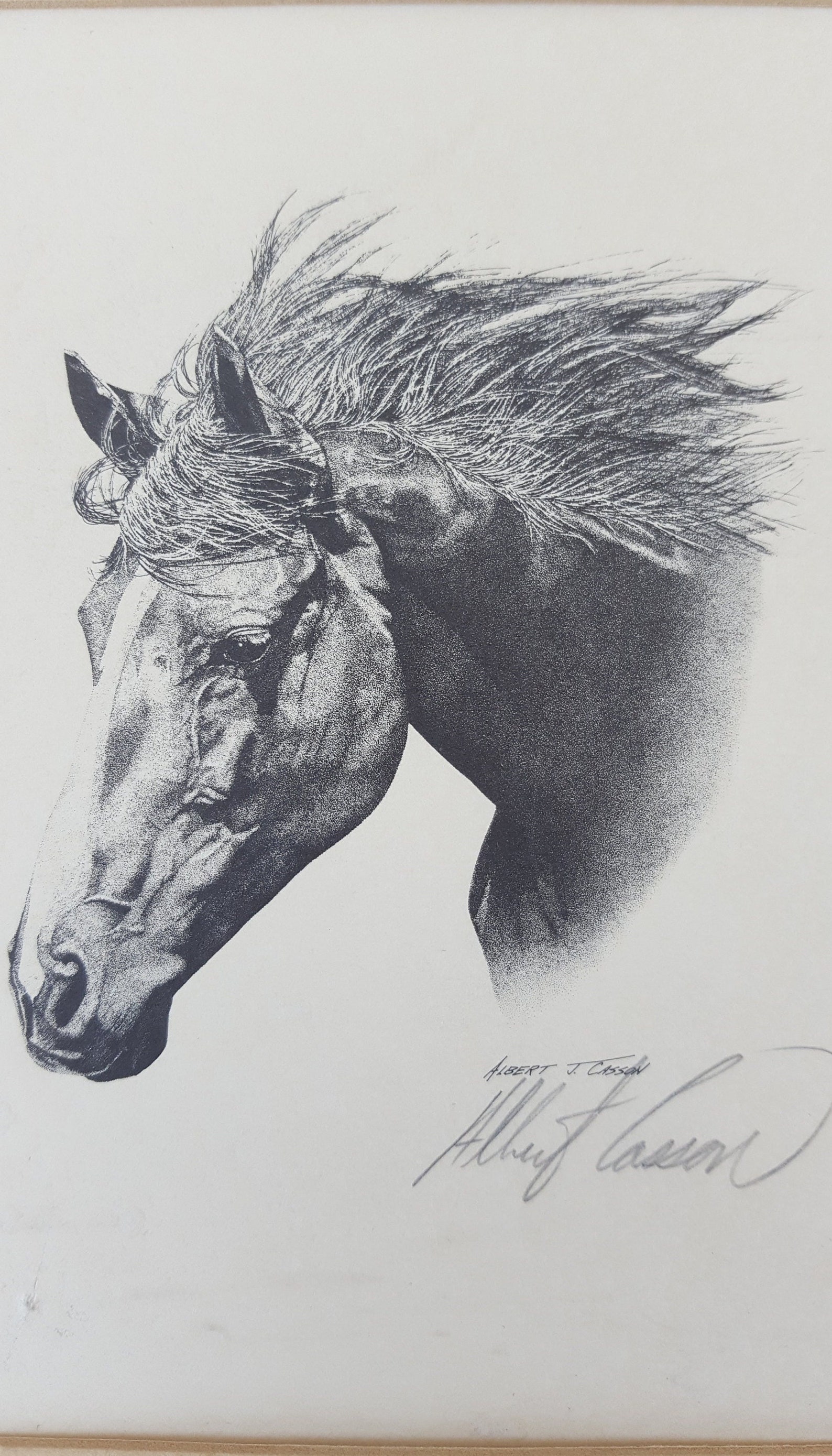 Albert J. Casson / Vintage 8 X 10 Horse Head Print - Etsy