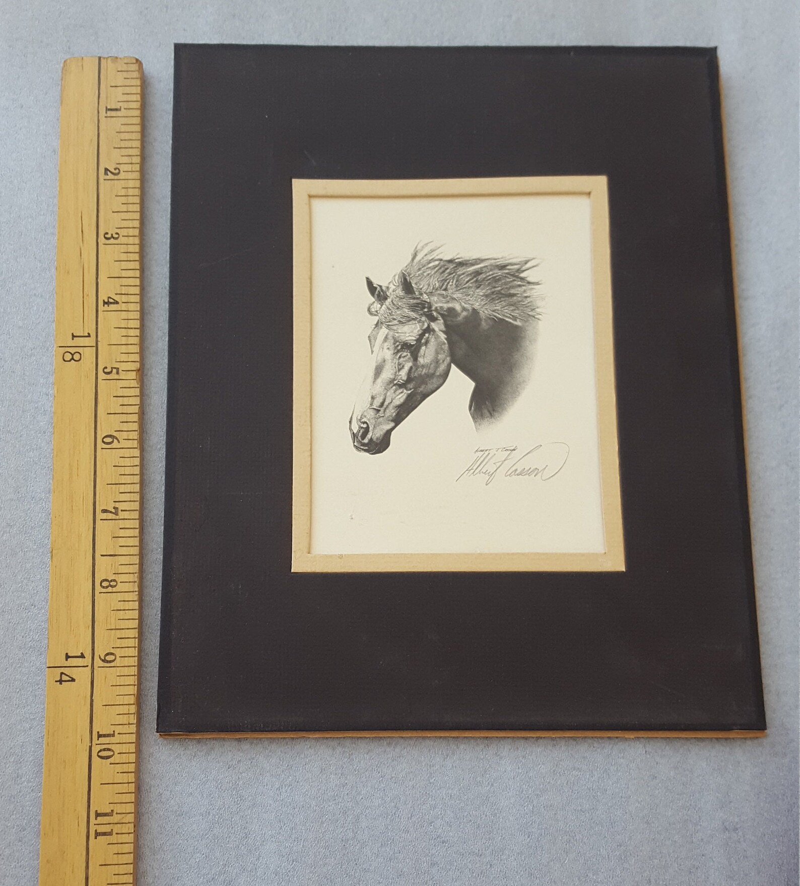 Albert J. Casson / Vintage 8 X 10 Horse Head Print - Etsy