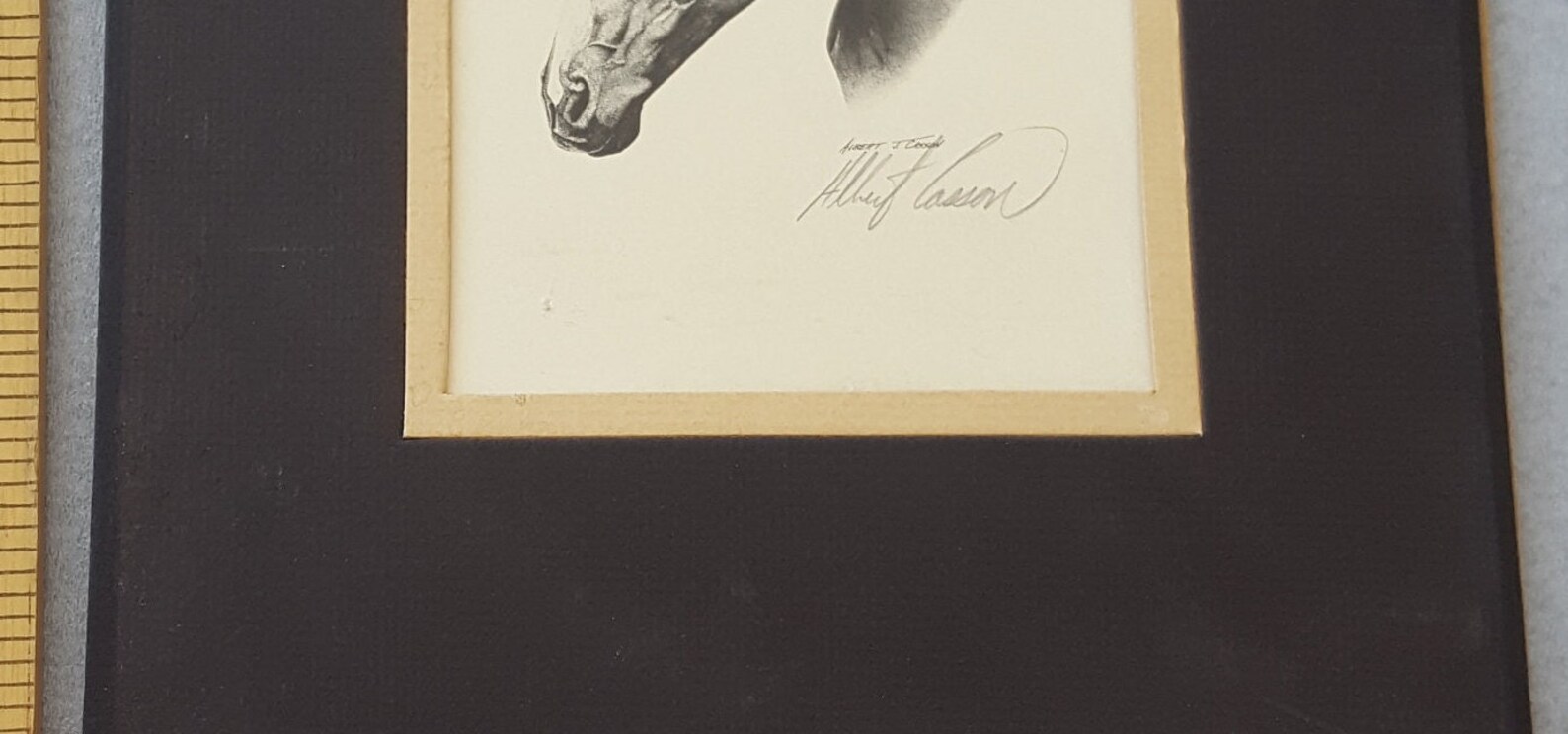 Albert J. Casson / Vintage 8 X 10 Horse Head Print - Etsy