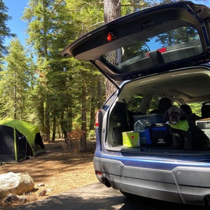 Hatch Catch™ - Rear Lift Gate Battery Saver - Etsy