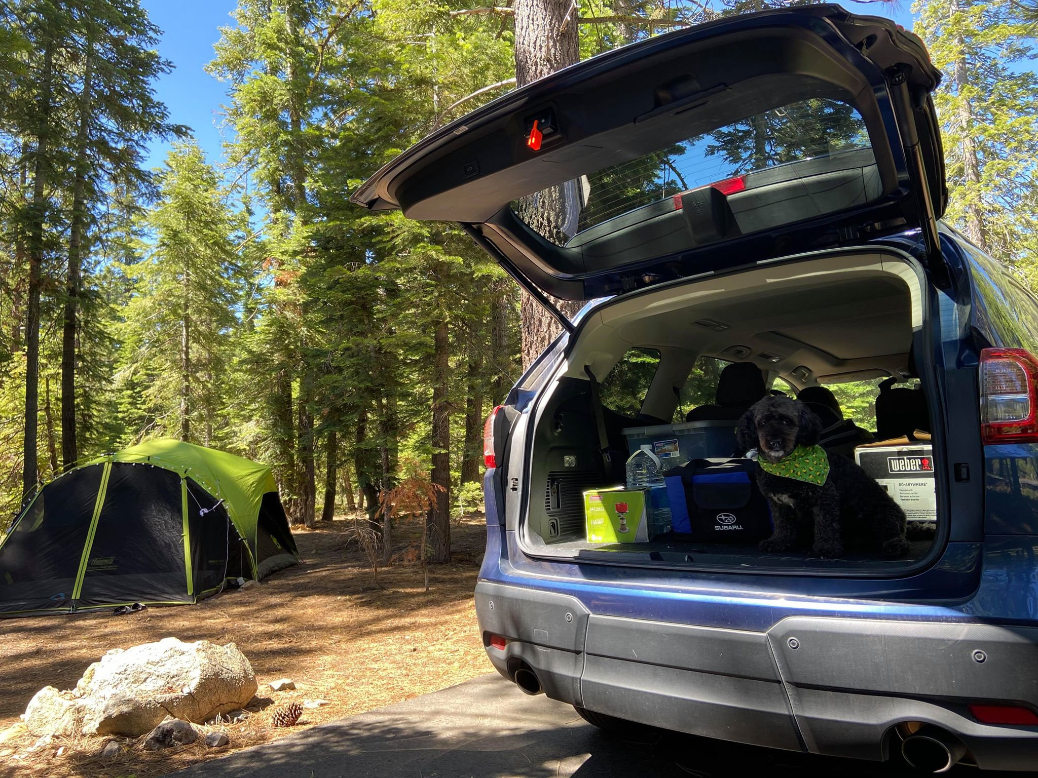 Hatch Catch™ Rear Lift Gate Battery Saver for Subaru® - Etsy