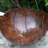 Coconut Shell Soap Dispenser Set: Handmade Tropical Bathroom Decor - Etsy