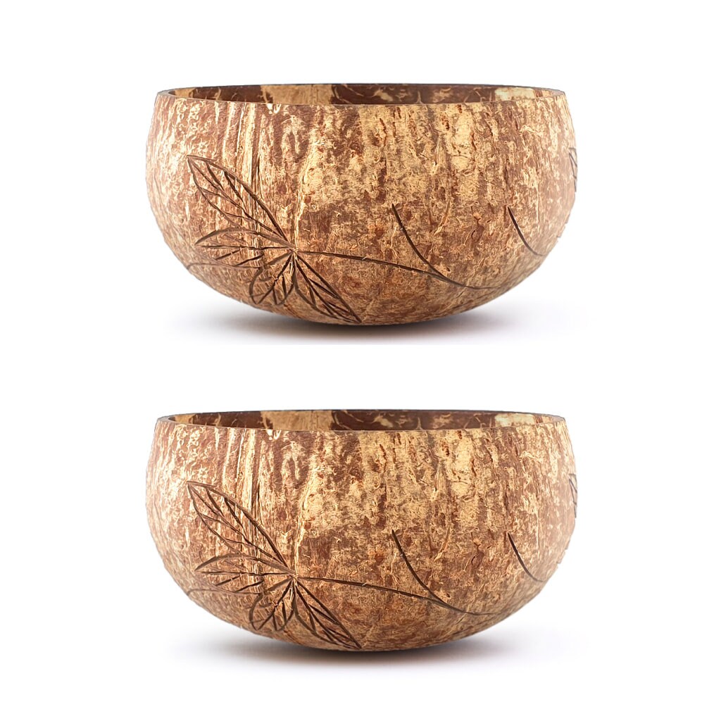 Nature-inspired Vines Coconut Bowl | Sustainable, All-natural Art Bowl ...