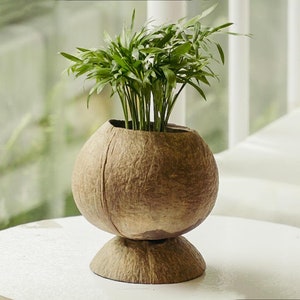 Set of 4 Pedestal Coconut Planters | Pots & Bases Sustainably Crafted ...