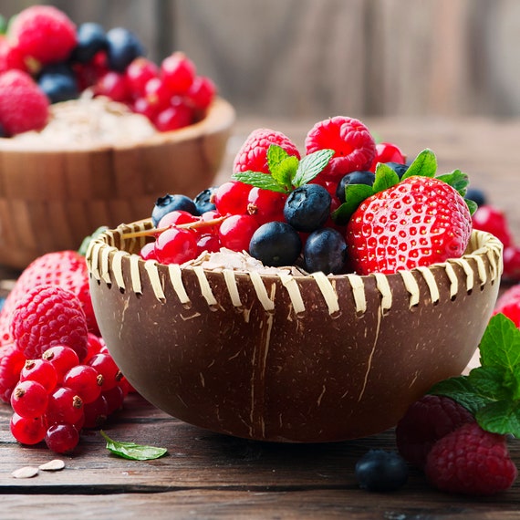 Natural Fiber Coconut Bowl Sustainable All-natural Art Bowl | Etsy