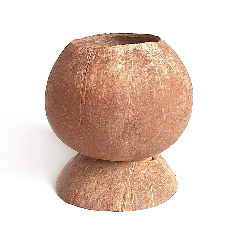 Set of 4 Pedestal Coconut Planters | Pots & Bases Sustainably Crafted ...
