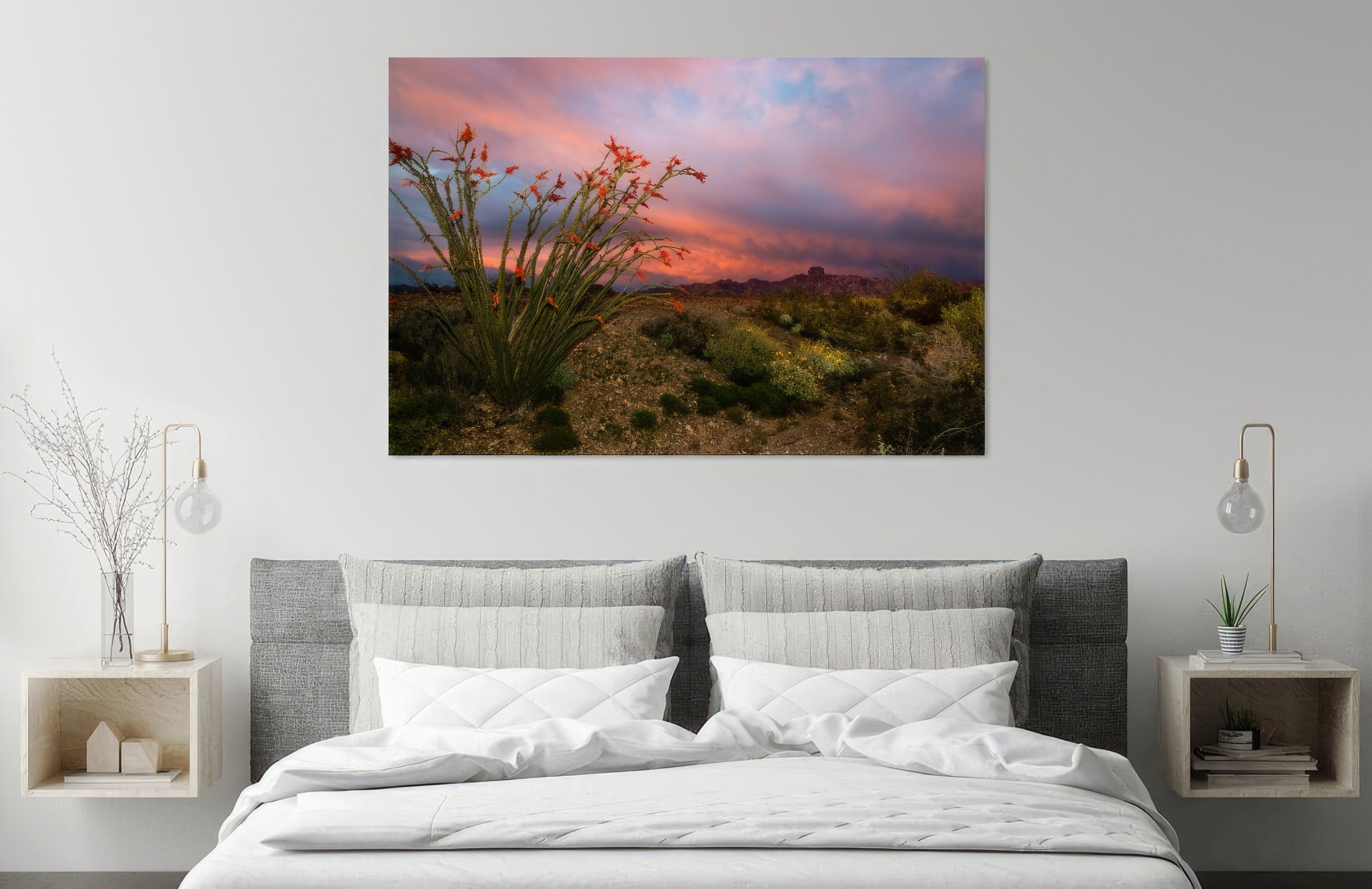 Stunning Ocotillo Bloom Art Print Southwest Desert Landscape - Etsy