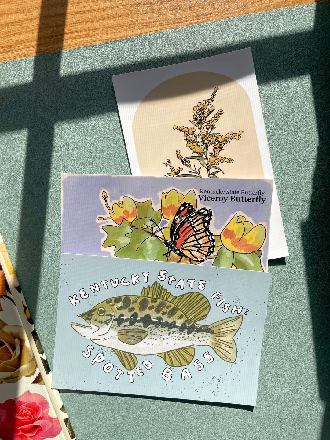 Kentucky Postcards (set of 3) - Etsy