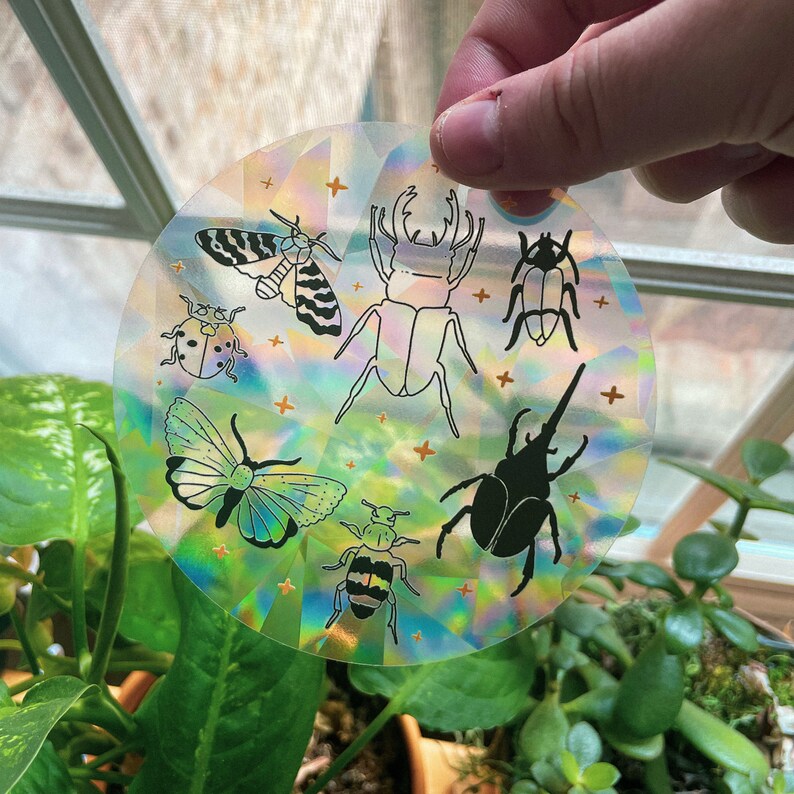 Bugs Circle Suncatcher Sticker - Etsy