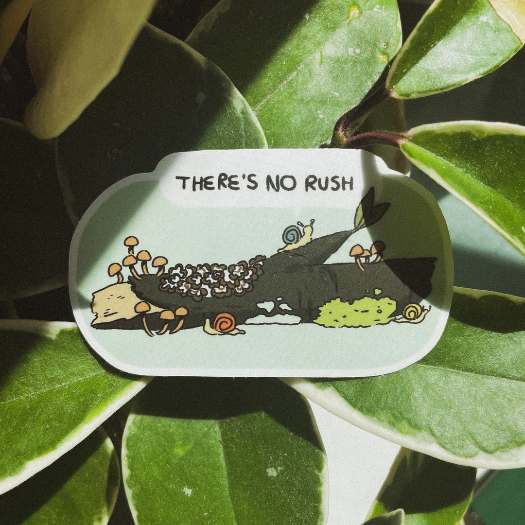 There’s No Rush Vinyl Sticker - Etsy
