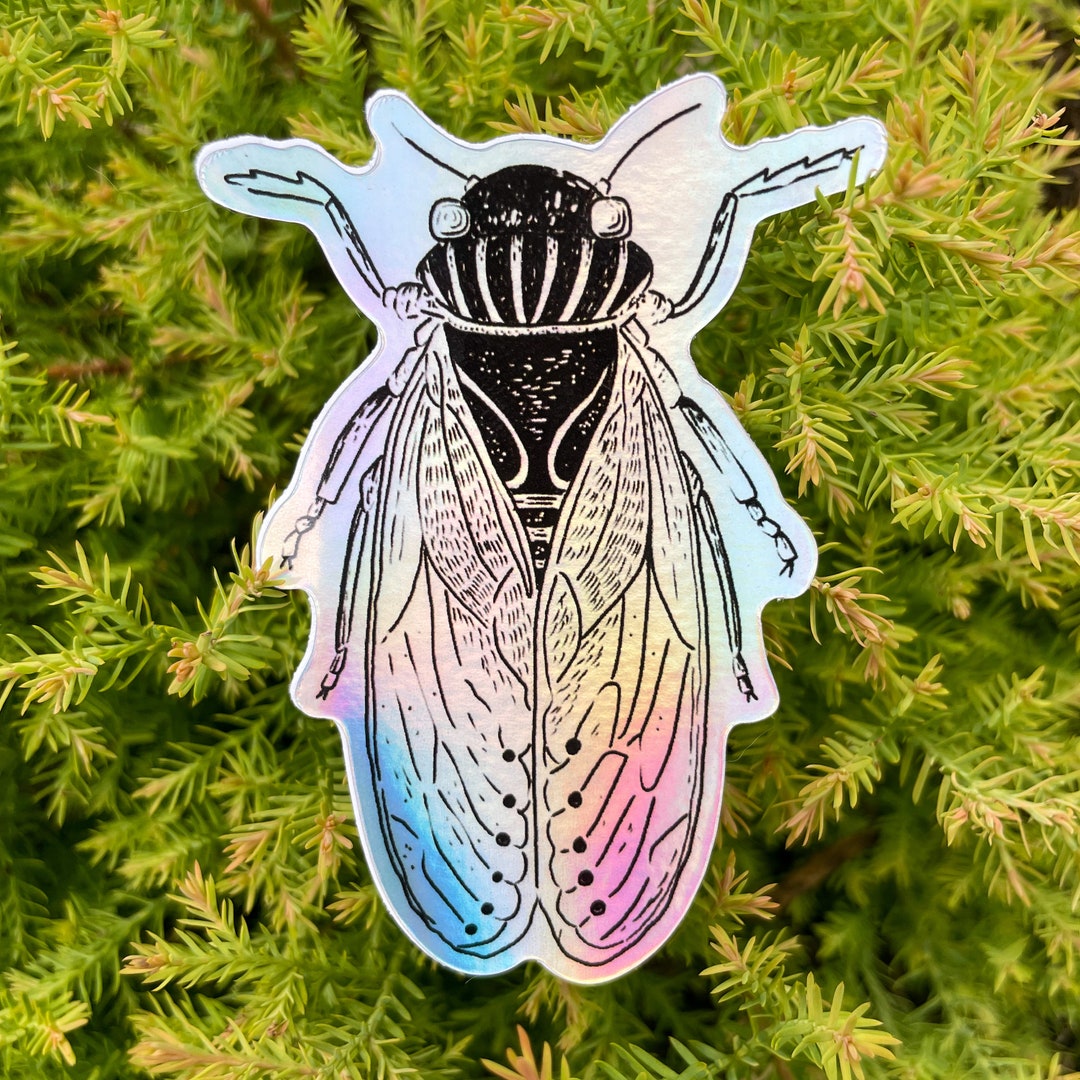 Cicada Oil-slick/rainbow Vinyl Sticker - Etsy