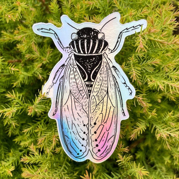 Cicada - Etsy