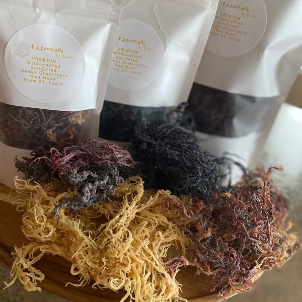 Wild Sea Moss - Etsy