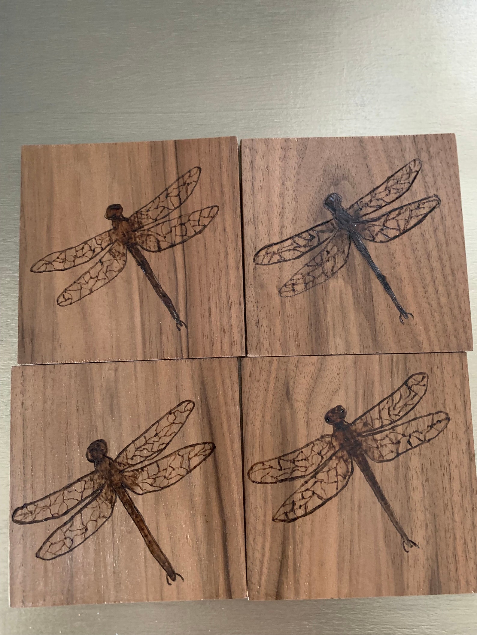 Wood Burned Dragonfly Coaster Set of 4 - Etsy