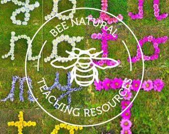 Roll the Dice and Read: Fun Tricky Word Games Phase 2 to 5 - Etsy