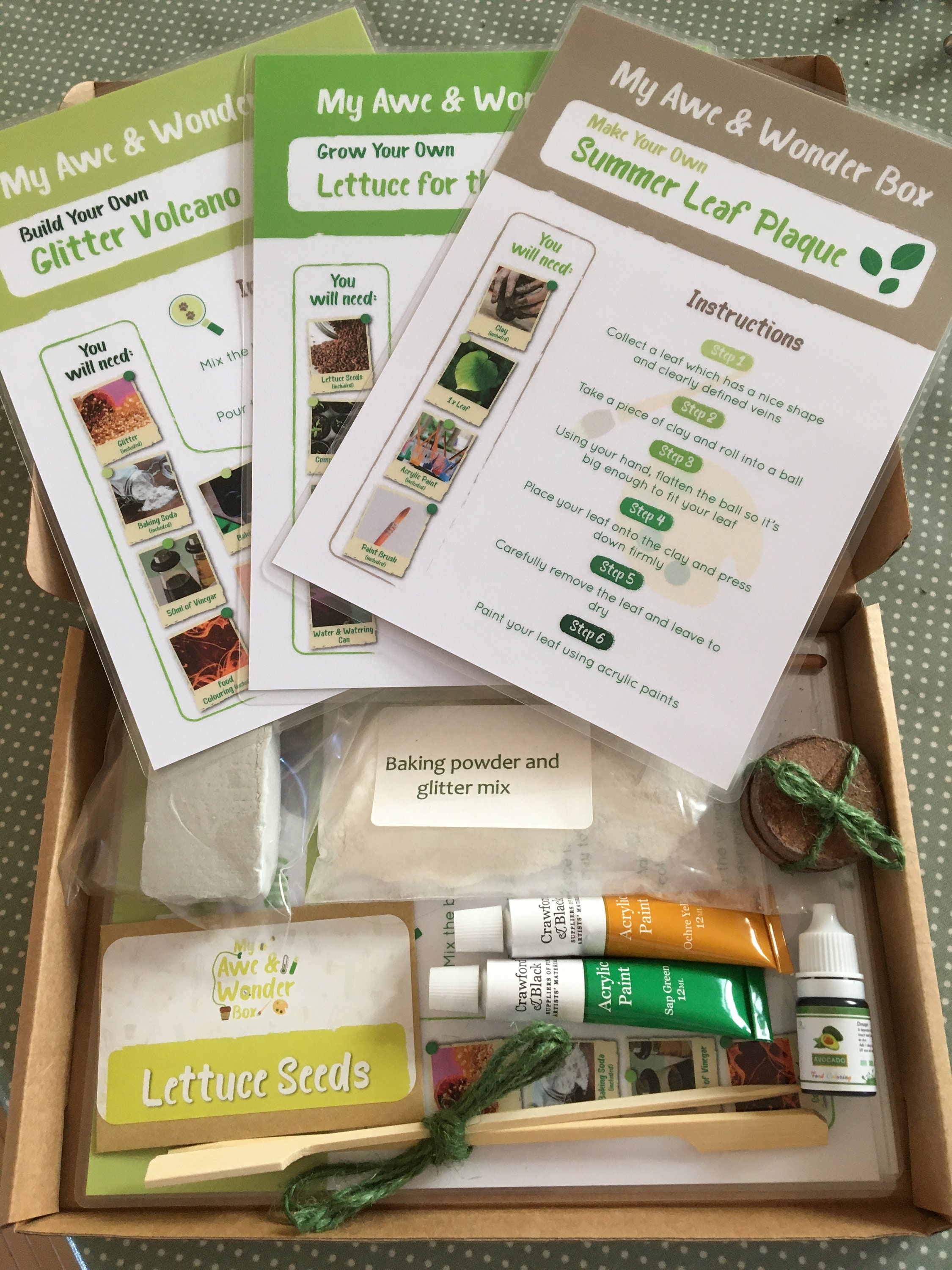 Science and Nature Activity Box for Children | Etsy