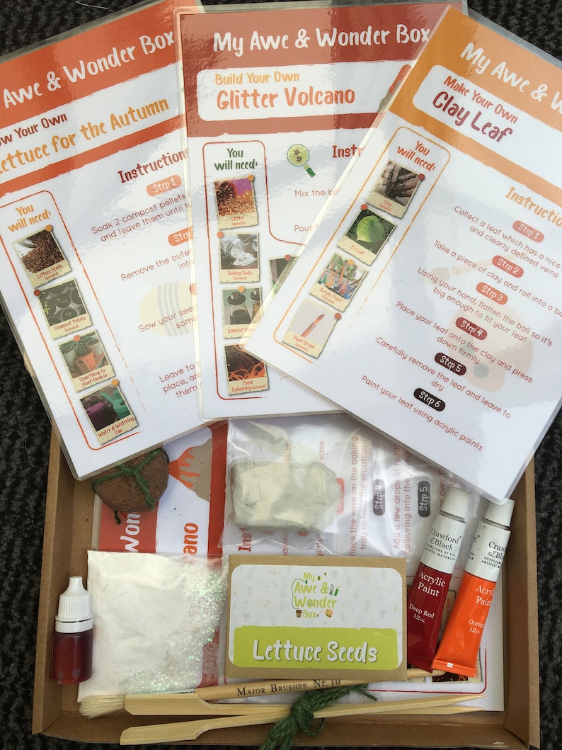 Science and Nature Activity Box for Children - Etsy