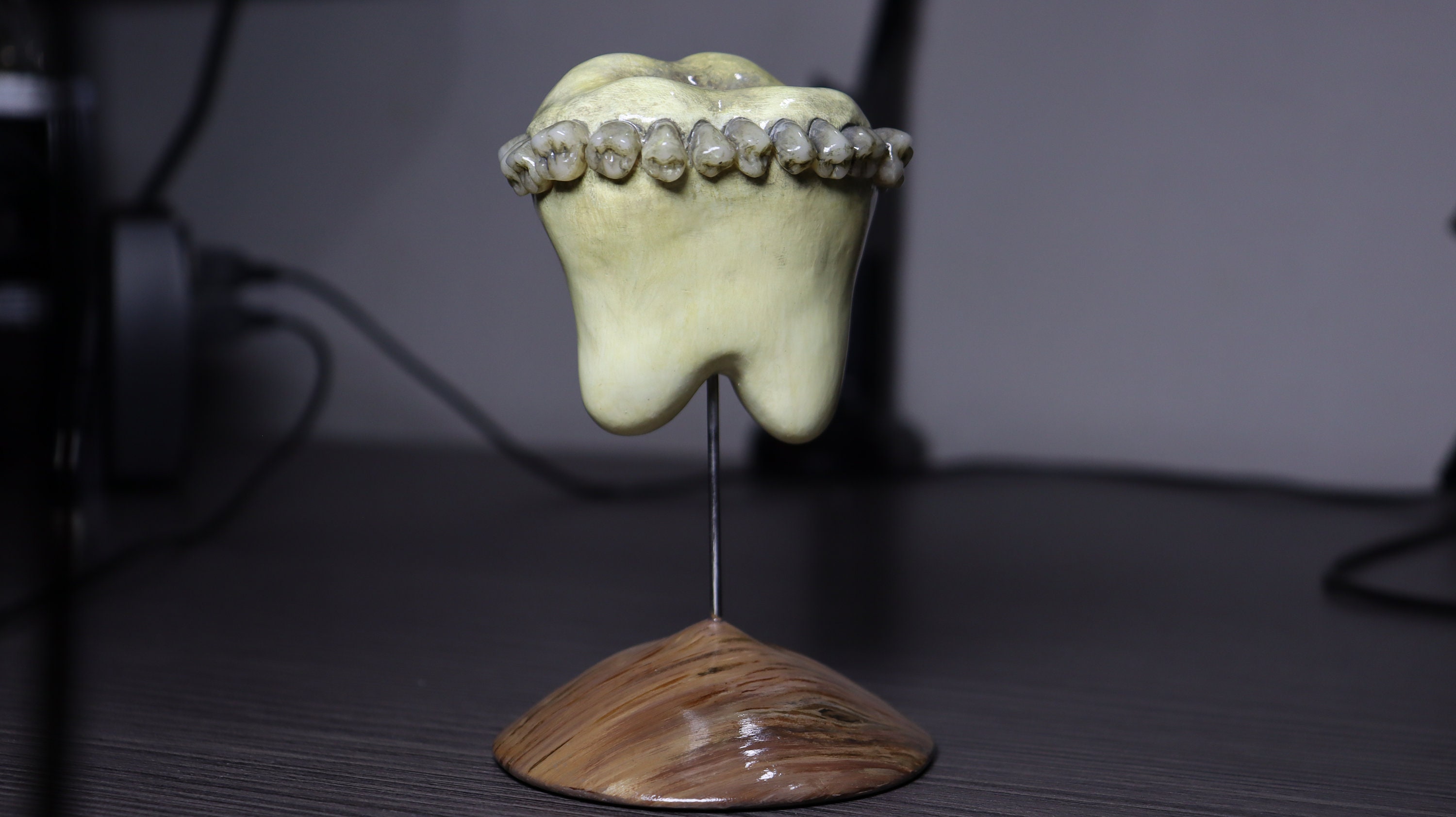 Toothy Tooth fidget, Desk Pet, Worry Stone - Etsy