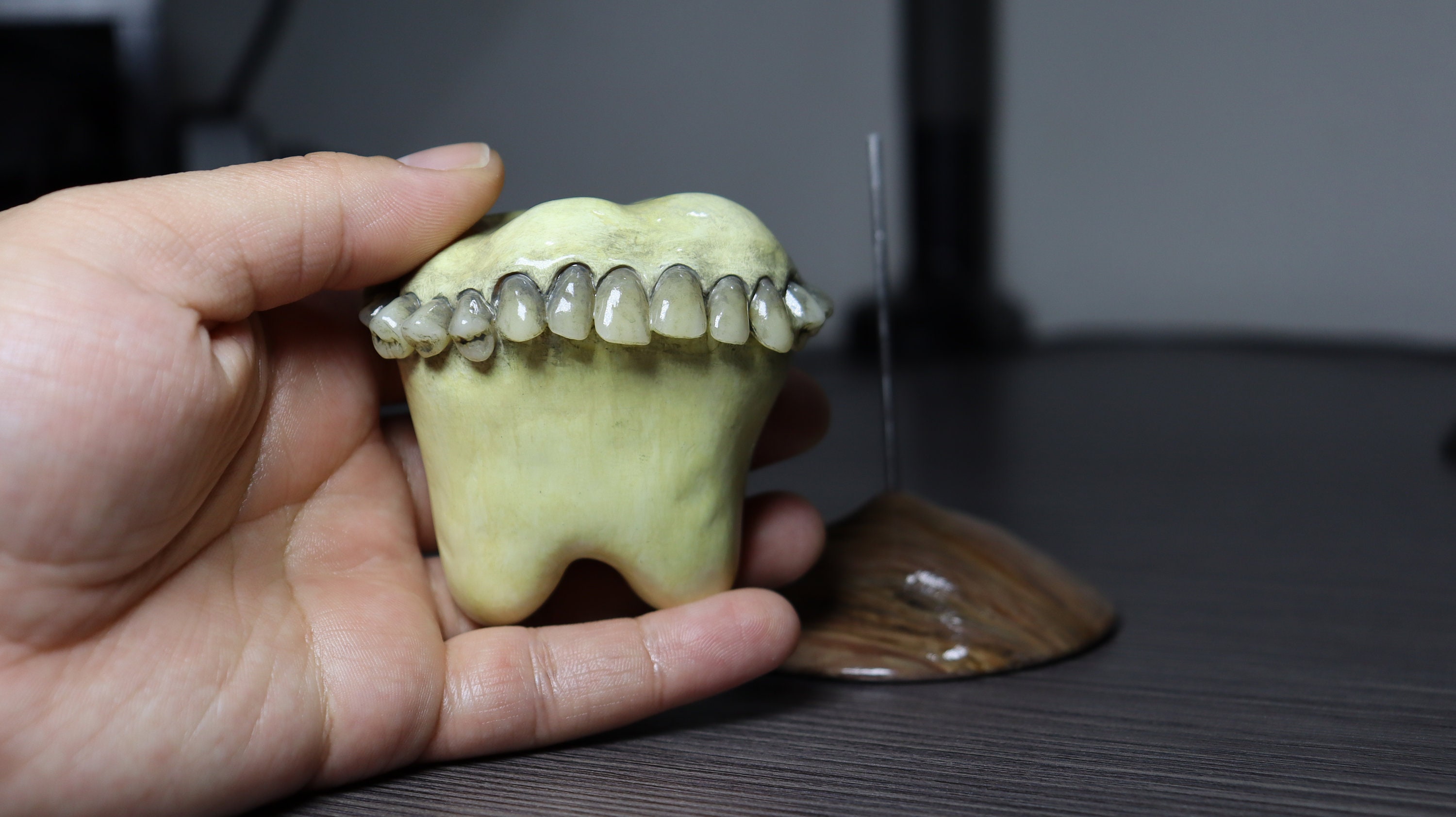 Toothy Tooth fidget, Desk Pet, Worry Stone - Etsy