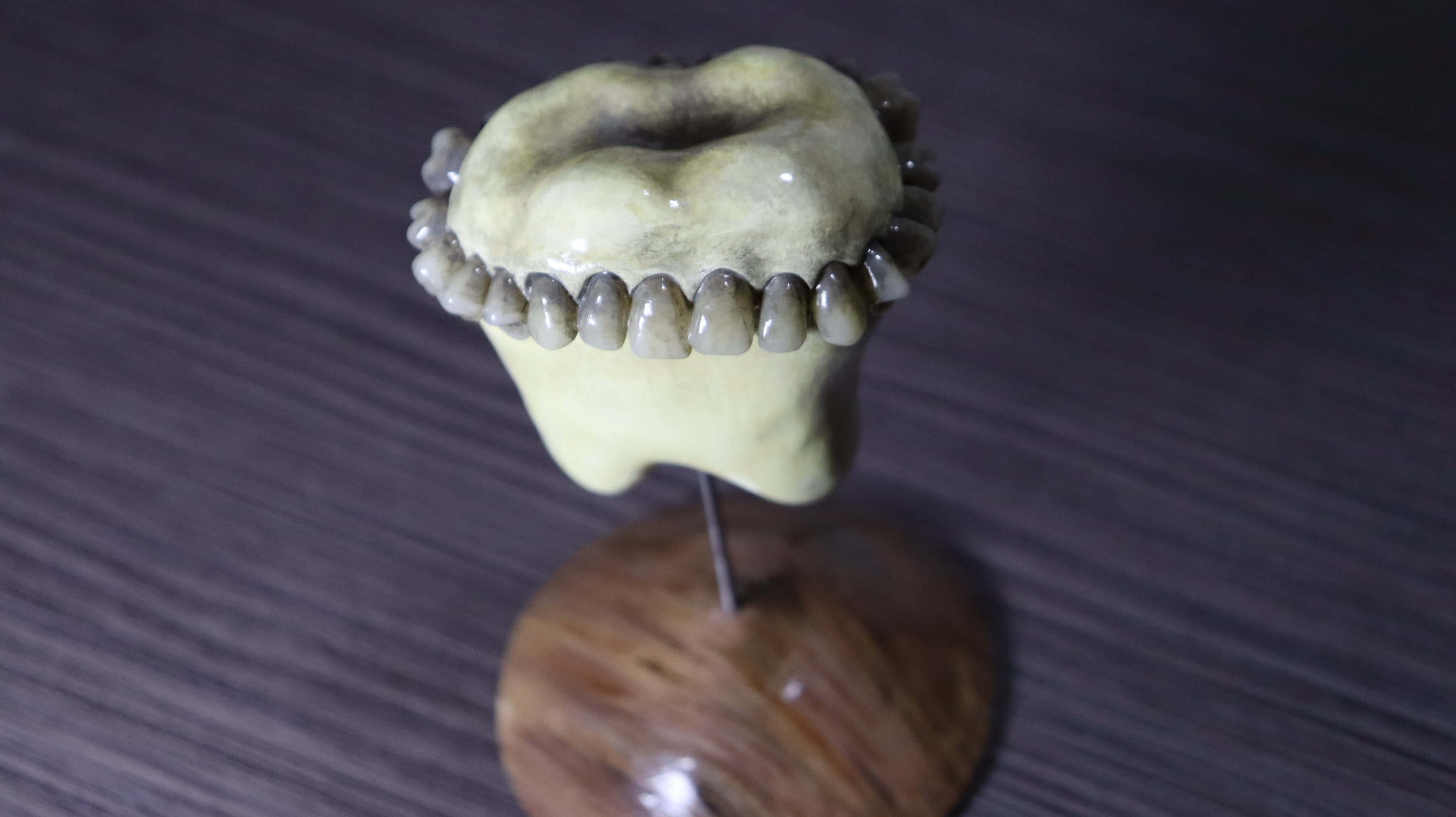 Toothy Tooth fidget, Desk Pet, Worry Stone - Etsy
