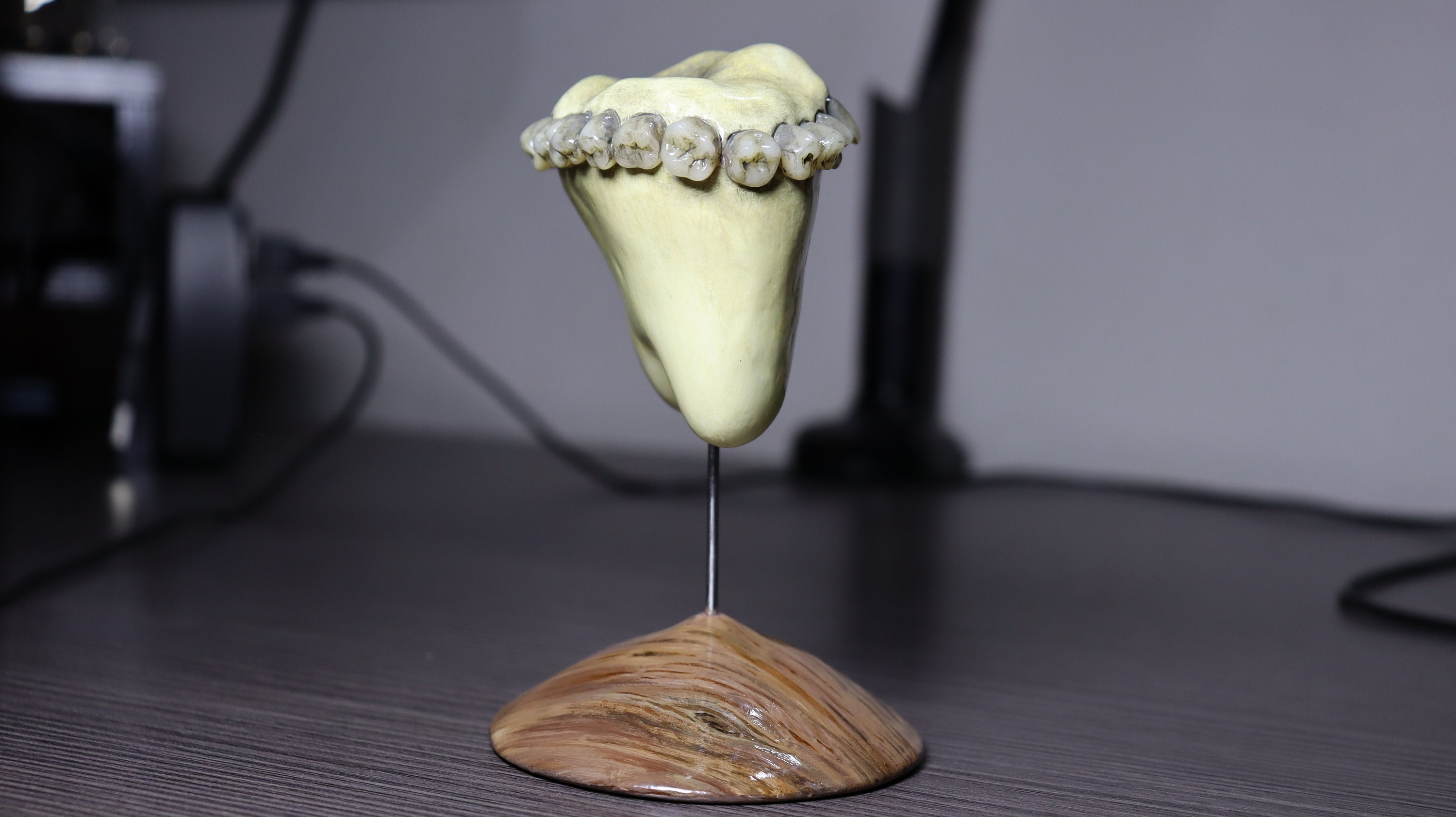 Toothy Tooth fidget Desk Pet Worry Stone - Etsy