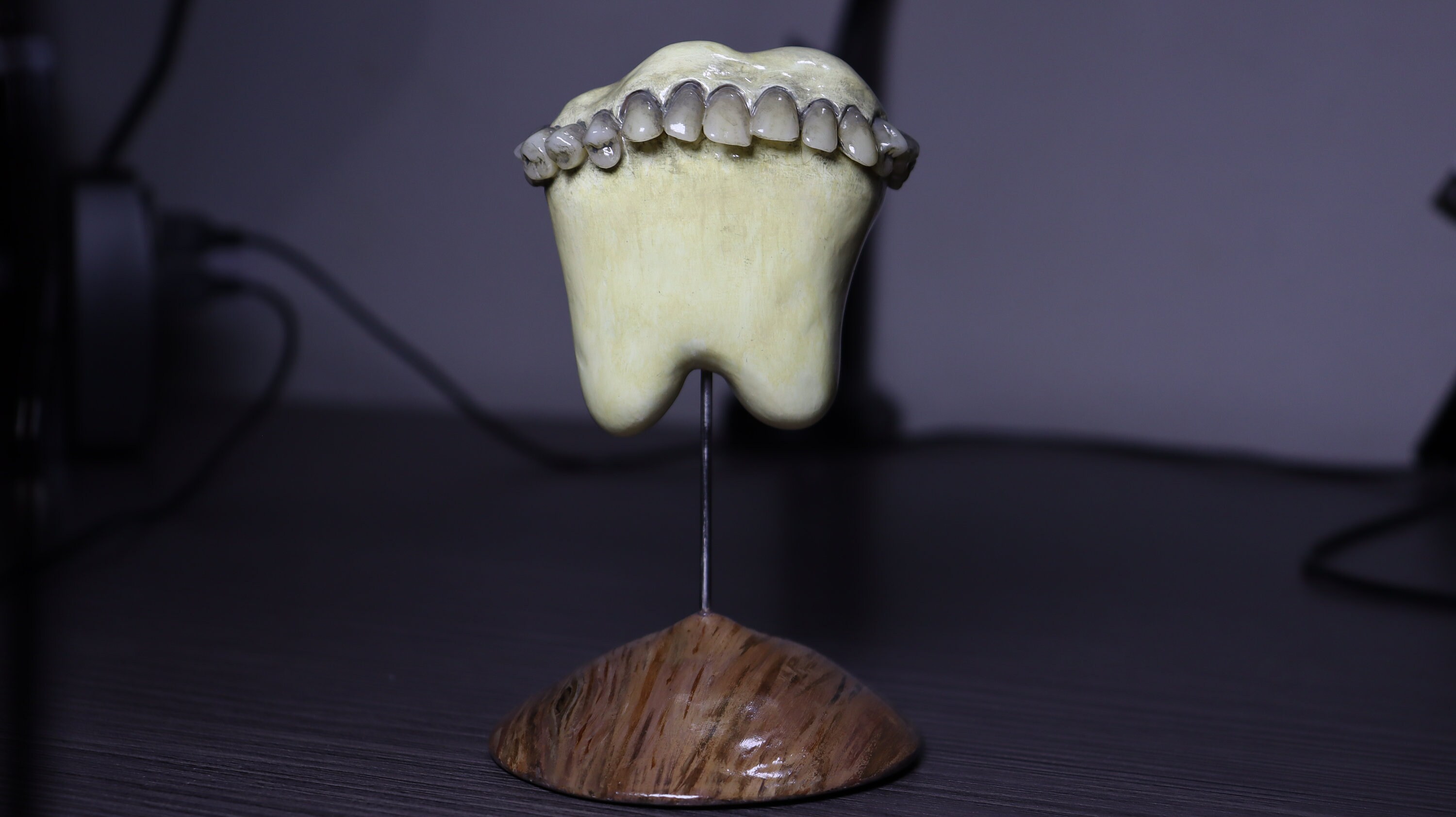 Toothy Tooth fidget, Desk Pet, Worry Stone - Etsy