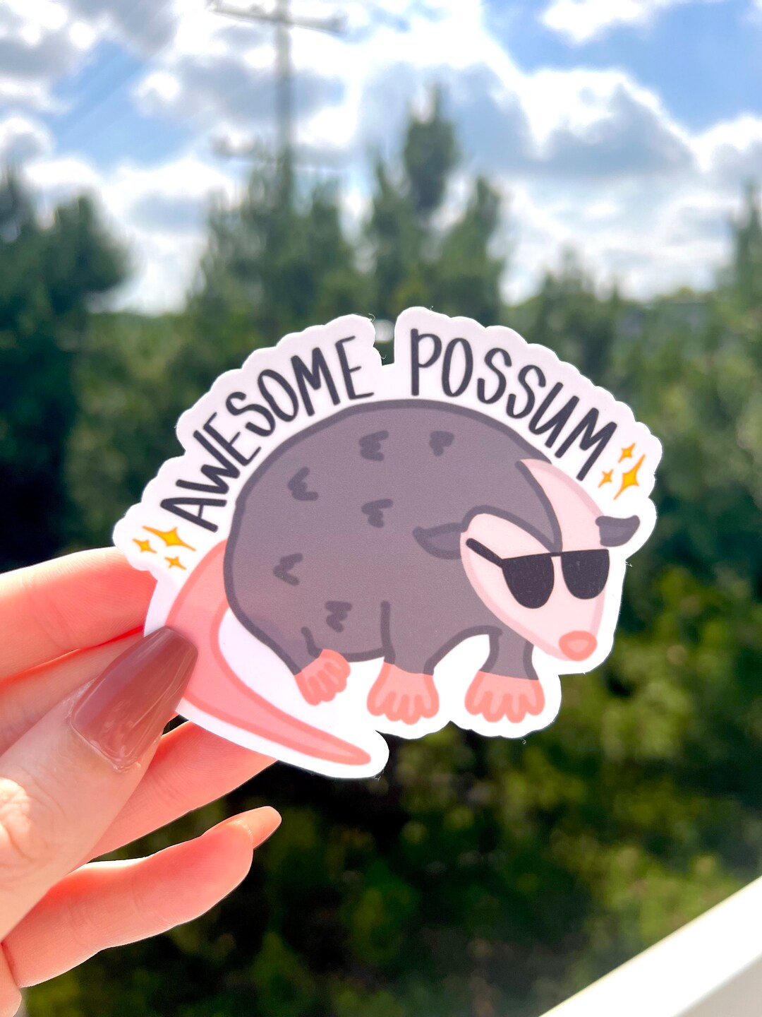 Awesome Possum Sticker / Opossum Sticker / Random Fun Sticker / Cool ...