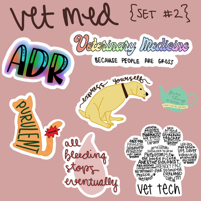 Veterinary Medicine Sticker Set 2 / Vet Med Stickers / Vet | Etsy