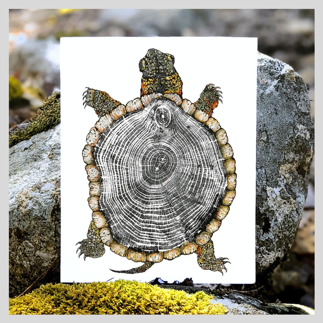 Wooden Turtle Print - Etsy