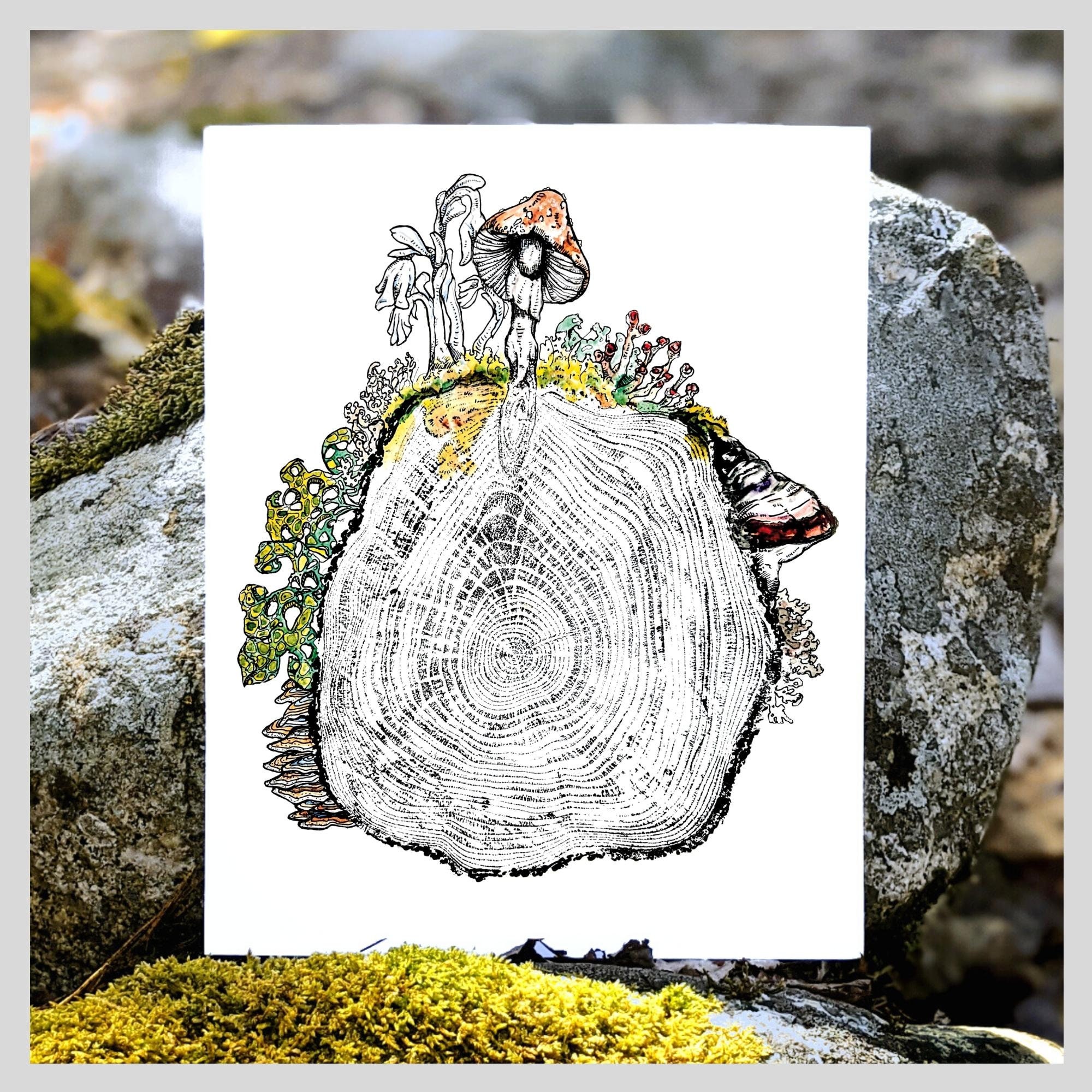 Lichens On Rock Drawing