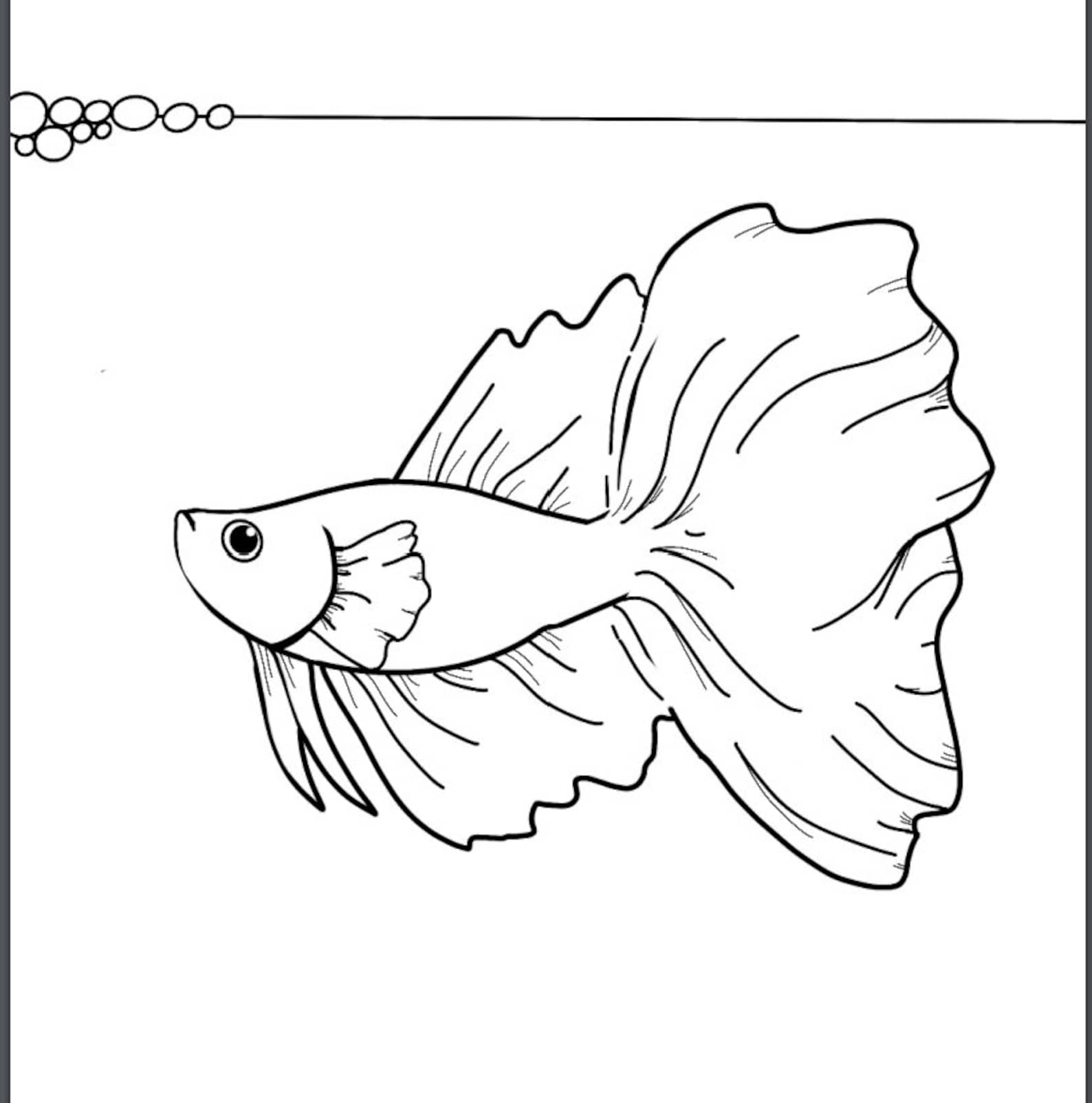 Instant Download Coloring Page - Betta Fish - 4 Page PDF - Etsy Canada