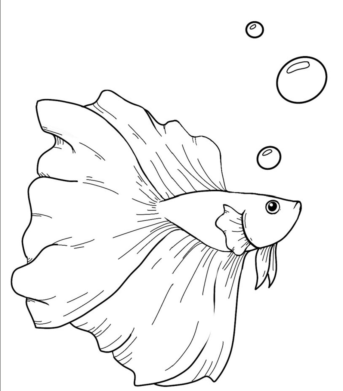 Instant Download Coloring Page - Betta Fish - 4 Page PDF - Etsy