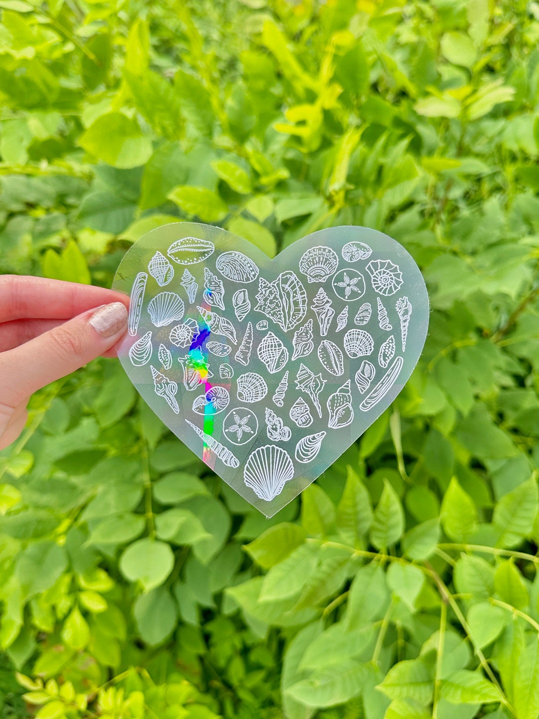 Heart Shell Suncatcher Decal Sticker, Rainbow Maker Sticker, Prismatic ...