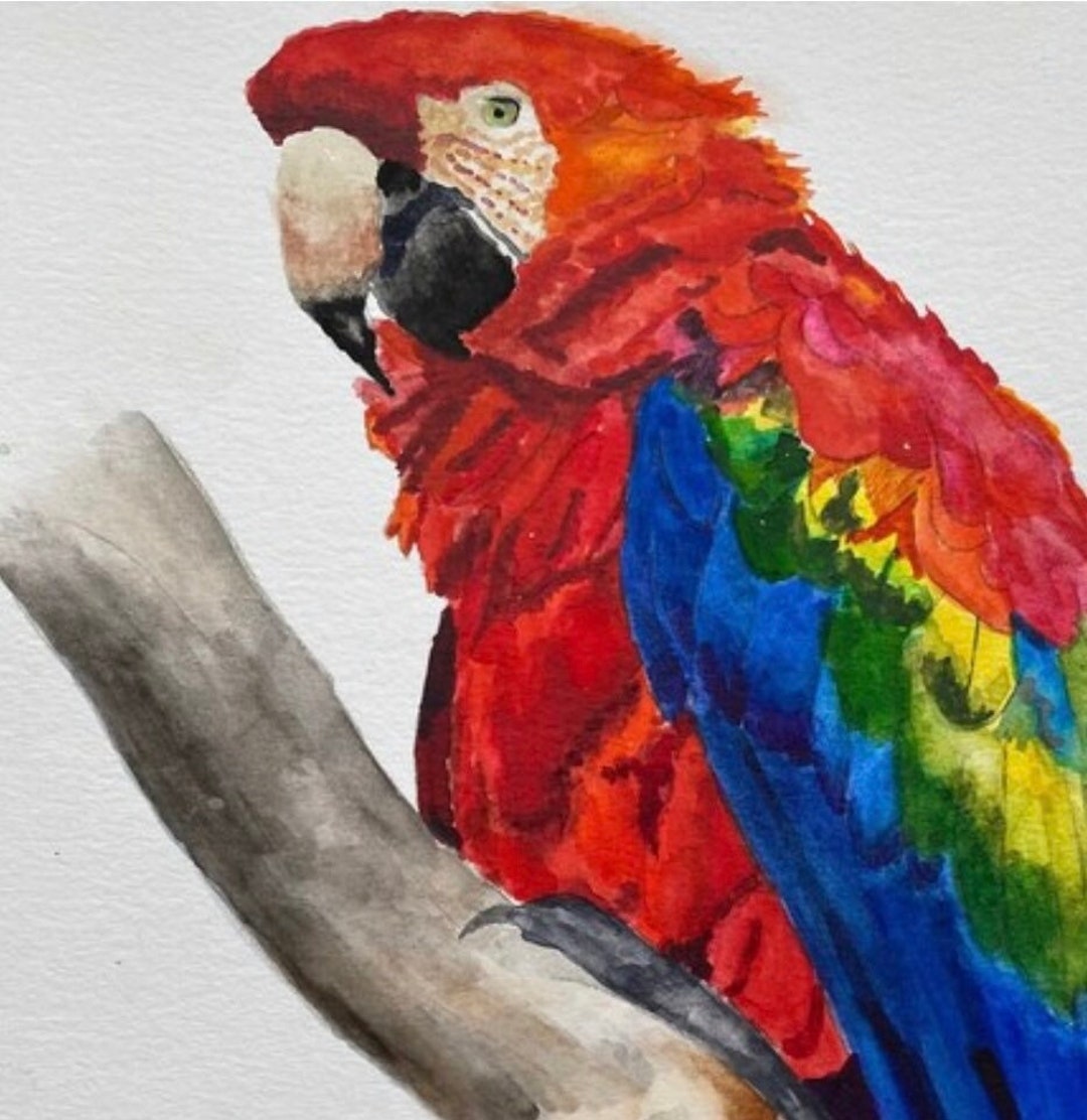 Colorful Parrot Watercolor PRINT - Etsy