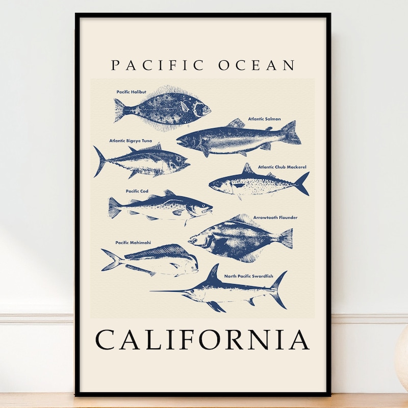 Fish Poster - Etsy