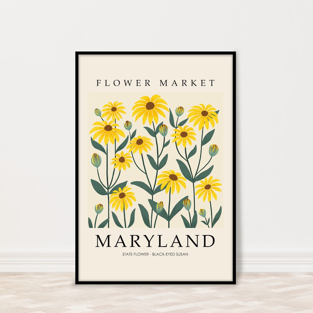Maryland Black-eyed Susan Flower Market Art Print, Maryland State ...