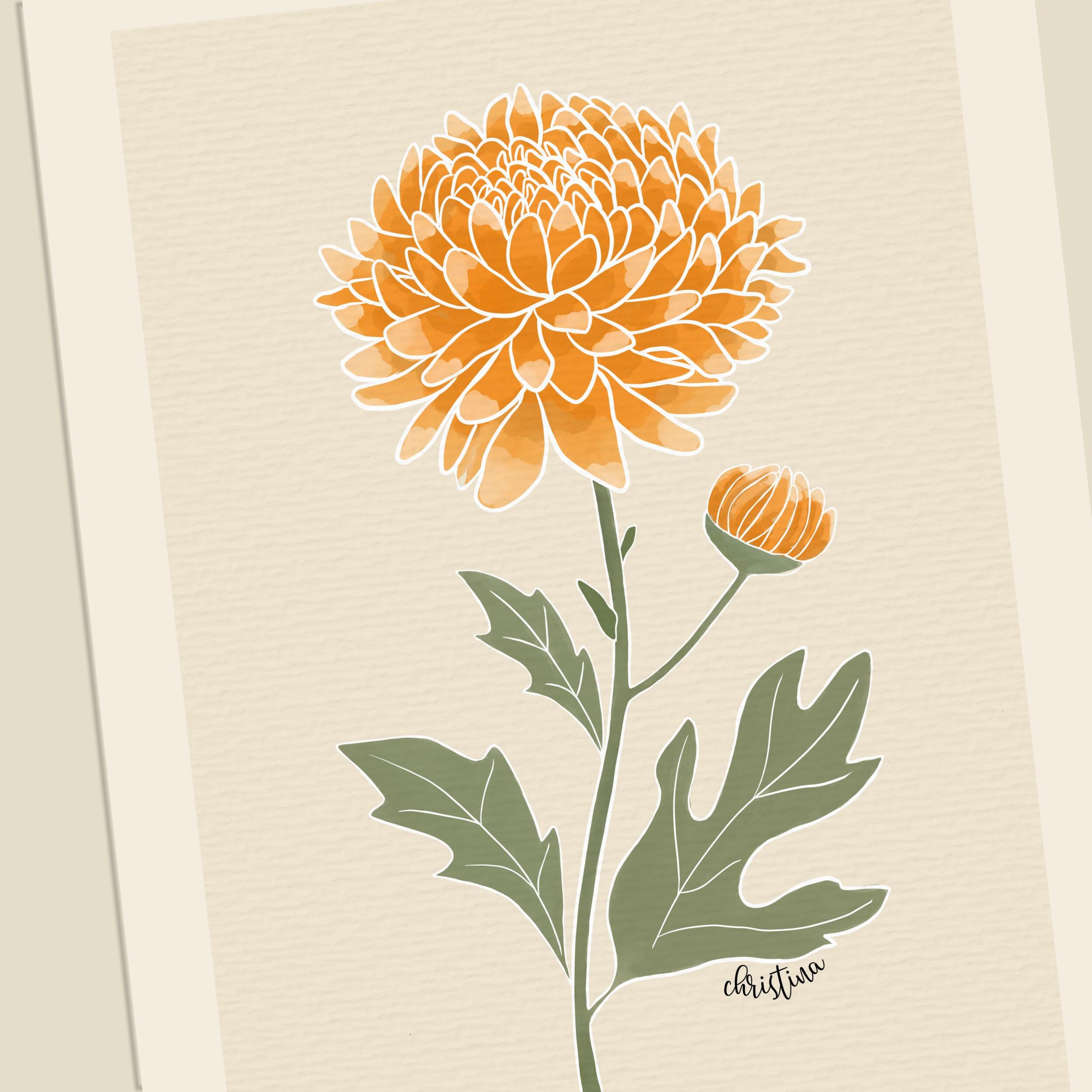 November Chrysanthemum Birth Month Flower Print Personalized Birth ...