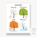 Four Seasons and Months Tree Wall Art & Chart Spring, Summer, Fall ...
