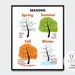 Four Seasons and Months Tree Wall Art & Chart - Spring, Summer, Fall ...