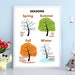 Four Seasons and Months Tree Wall Art & Chart Spring, Summer, Fall ...