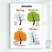 Four Seasons and Months Tree Wall Art & Chart - Spring, Summer, Fall ...