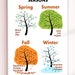 Four Seasons and Months Tree Wall Art & Chart - Spring, Summer, Fall ...