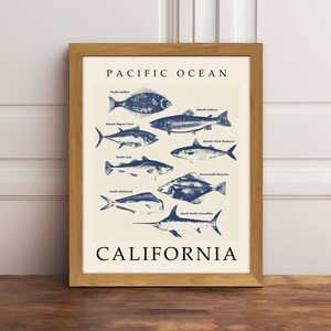 Blue Fish California Coastal Art Print, Under the Sea Fish Poster ...