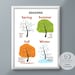 Four Seasons and Months Tree Wall Art & Chart Spring, Summer, Fall ...