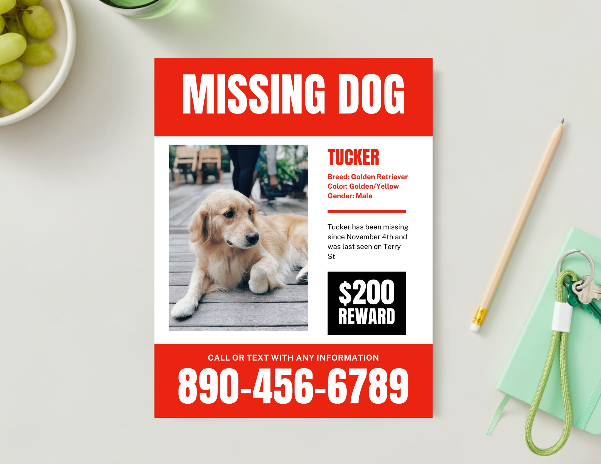 Missing Dog Flyer Kit, Lost Dog Poster Set, Social Media Package ...