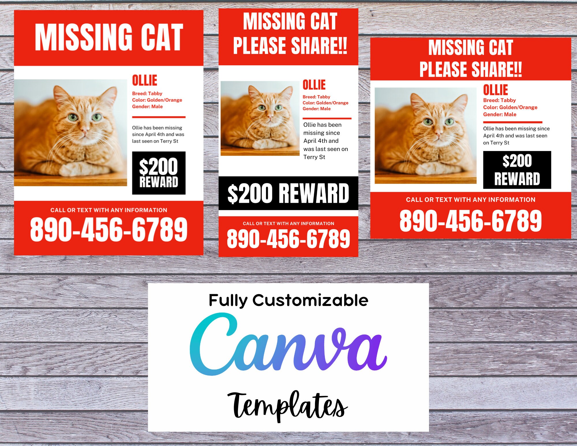 Missing Cat Flyer Template, Printable Poster, Social Media Kit (canva ...